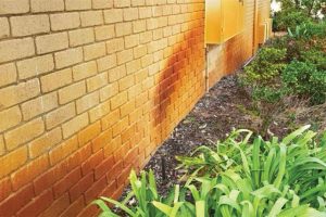 Ranex Rustbuster – Bondall